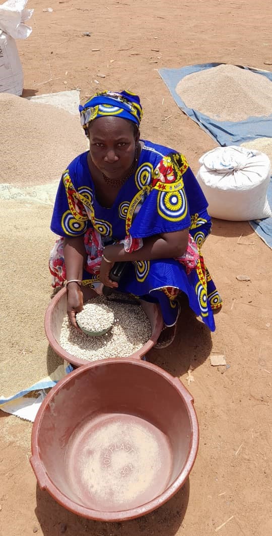 CAS DE SUCCÈS | le site officiel du Projet Inclusif Mali